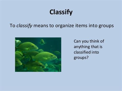 Classification