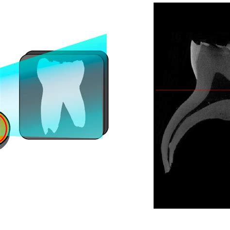 A In μ Ct Measurements Probes Are Rotated The Electron Beam Is Download Scientific Diagram
