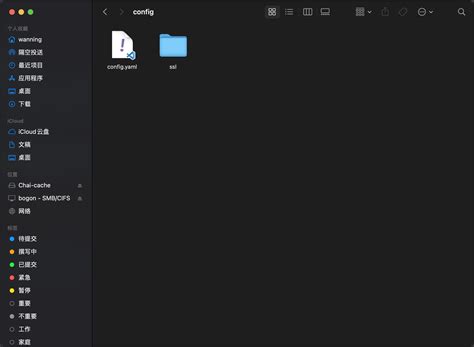 Bug The Ssl File Path Described In The Wiki Is Wrong · Issue 2054 · Chia Networkchia
