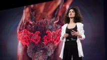 Neri Oxman Regrets Donations To Her Mit Lab From Jeffrey Epstein
