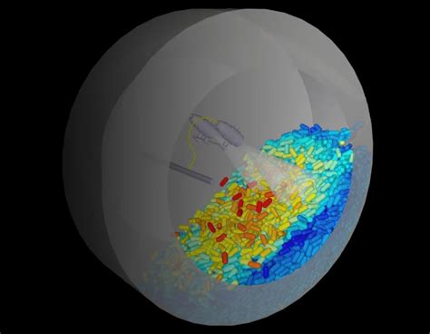 Ansys Rocky Software At ₹ 100000 Ansys Software In Gurugram Id 2852861669455