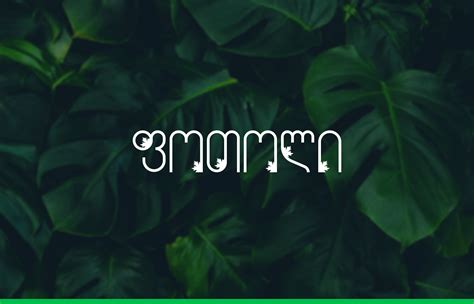 Georgian Font Behance