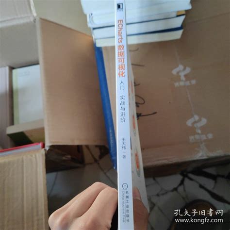 Echarts数据可视化：入门、实战与进阶王大伟 著孔夫子旧书网