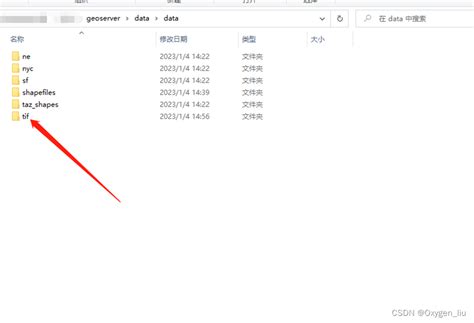 Geoserver搭建私有地图服务，cesium引擎加载。geoserver Cesium Csdn博客