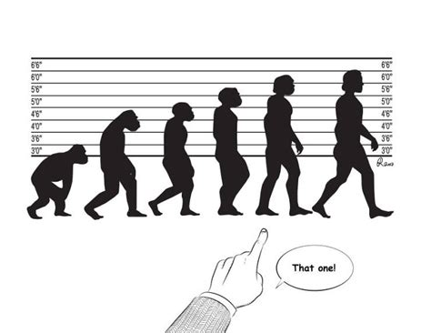 30 Illustrations Show The Evolution From A Very Different Perspective