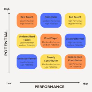 How To Use The Box Grid For Talent Management ClickUp