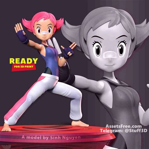 Maylene Pokemon Free High Quality Models