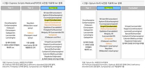 Sk바이오팜의 뇌전증 치료제 시장 진출과 성장 전망 오렌지보드 리포트