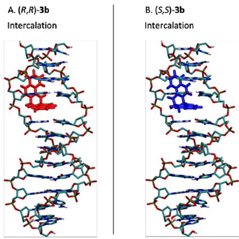 A Snap Shot Of Rr 3b With The Dickerson Drew Dodecamer B Dna
