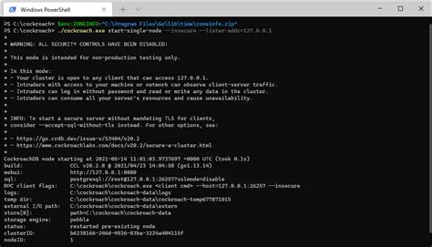 Windows Heroic Labs Documentation