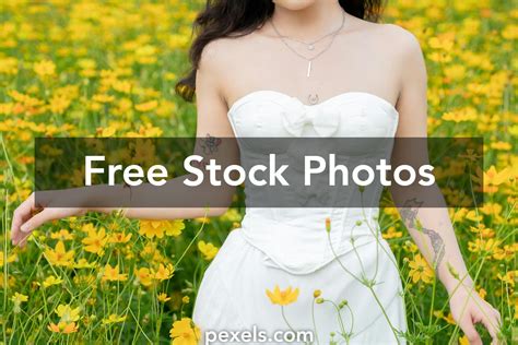 Phase Field Model Photos Download The Best Free Phase Field Model