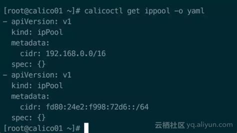 容器网络calico进阶实践 calico network architecture ipvlan and macvlan csdn博客