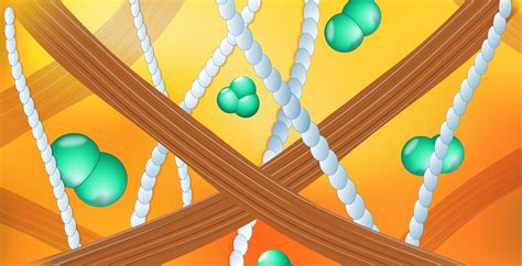 Matriz Extracelular Saiba Tudo Sobre Ela Reabilitech