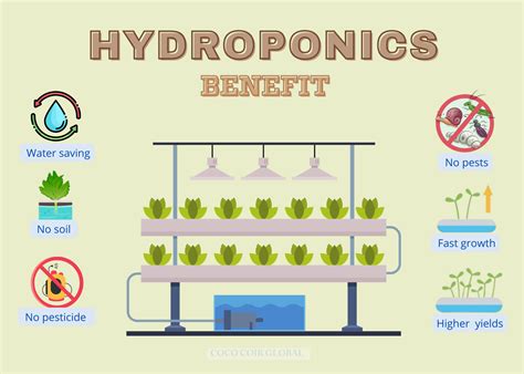 Complete Guide To Using Coco Coir Hydro For Hydroponic Gardening