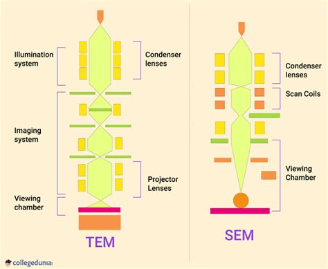 Types Of Microscopes Working Principles And Applications