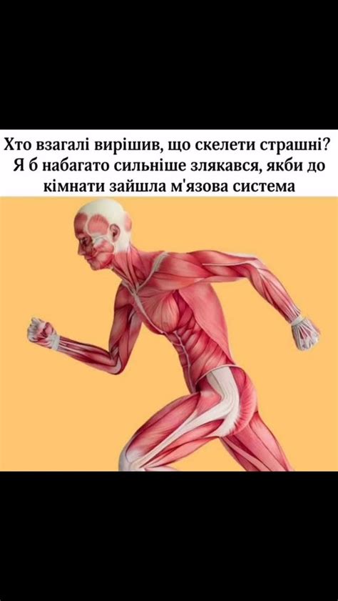 Меми меми та ще раз меми🙂‍↕️ Не дякуйте це все я Якщо сподобався мем лайк ️ Підписуйтеся