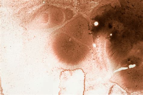 스플래시 갈색 페인트 추상 예술 배경 텍스처 종이에 수채화 현대 유체 아트 페인팅 알코올 잉크 포스터 카드 초대장 배경 화면의 창조적 인 디자인을 혼합합니다 검은색에 대한