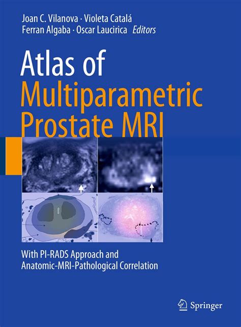 Multiparametric Mri