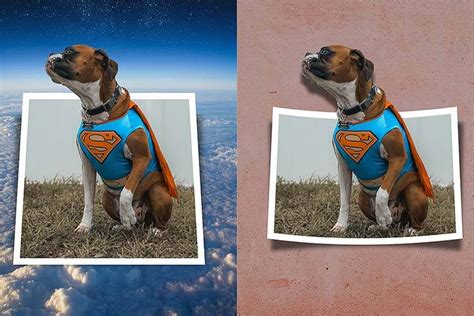 Documentation Freebies