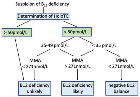 Algorithm For The Detection Of B12 Deficiency An Algorithm For The