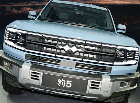 Equation Leopard 5 Photo