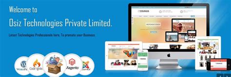 Osiz Technologies Private Limited Culture Comparably