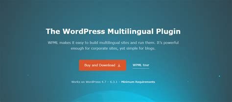 Wpml The Wordpress Multilingual Plugin