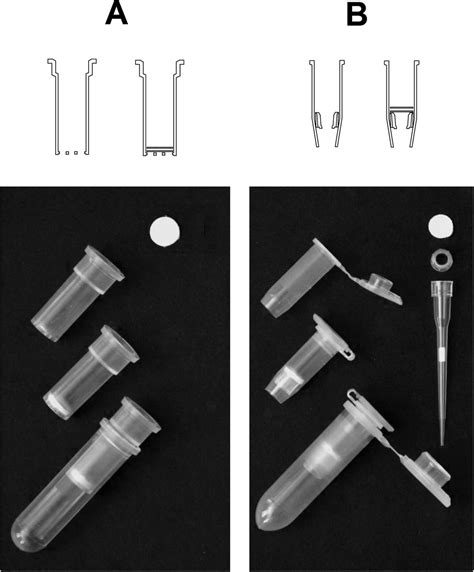 Spin Column Dna Purification Kit Qiagen Bioz