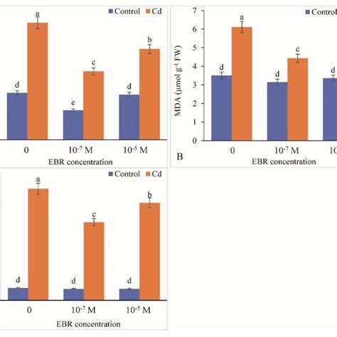 Supplementation Of 24 Epibrassinolide Regulates Production Of Leaf A