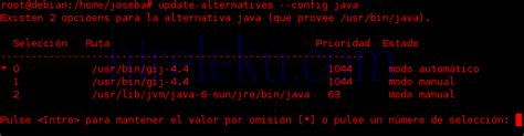 Cómo instalar Java de Oracle en Debian Squeeze nireleku