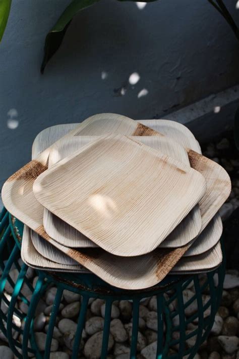 How Gorgeous Are These Disposable Palm Plates For The Next Bbq These