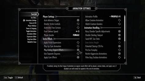 How The Hell Do I Mod My Skyrim LE Series 4 The Mods I Use In Skyrim LE SE AE Series By MaRi