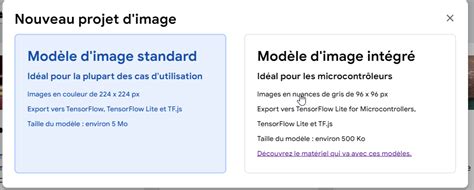 Bug Bad Export Code From Tensorflow Lite Project Tmuploaderzip
