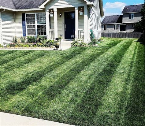 Mower Weed Wacker Recommendations Lawn Care Forum