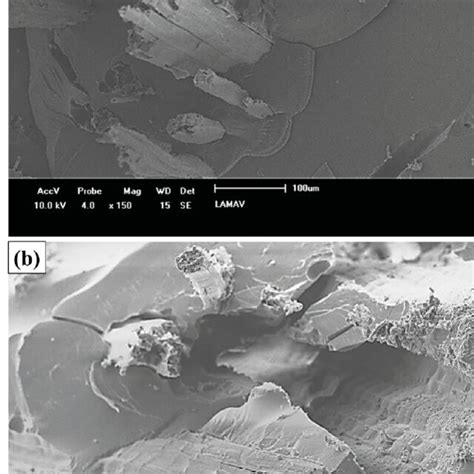 Micrographs Of The Fracture Surfaces Of Polymer Composite Samples Download Scientific Diagram