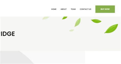How To Add A Button To The Header In Wordpress Qode Interactive