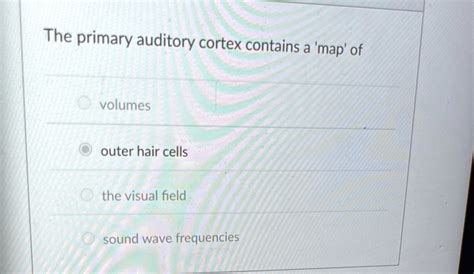 The Primary Auditory Cortex Contains A Map Of Volumes Outer Hair