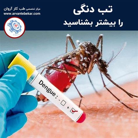 تب دنگی را بیشتر بشناسید طب کار آروان ⭐️