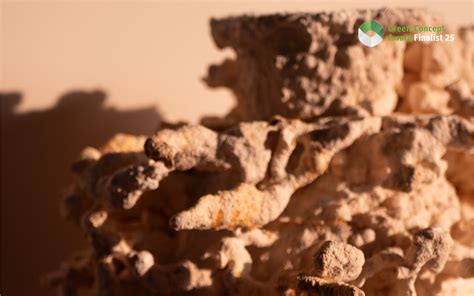 Brio Green Product Award