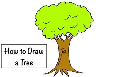 How To Draw A Tree Easy Digital Step By Step For A Beginner Drawing Trees Tutorial Digitally