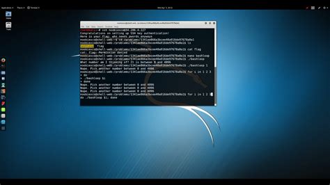 Picoctf 2017 Bash Loop Youtube