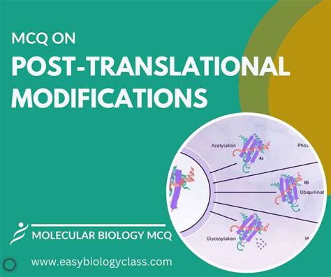 Mcq On Post Translational Modification Easybiologyclass