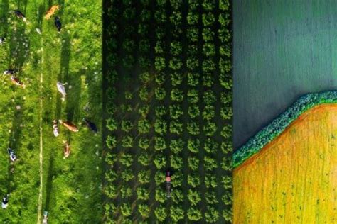 Како ќе изгледа земјоделството на ЕУ во следните десет години Окно мк