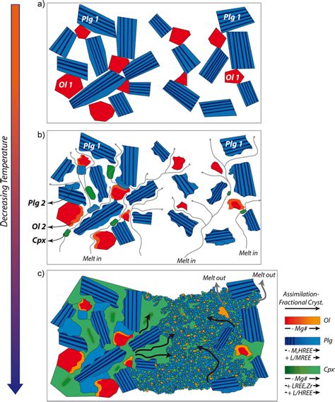 Schematic Reconstruction Of The Microstructure And Chemical Evolution Download Scientific
