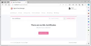 Nginx Proxy Manager How To Setup And Use RapidSeedbox