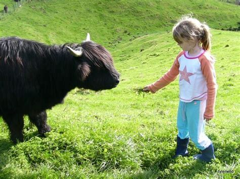 Python And Maia Tylerwild