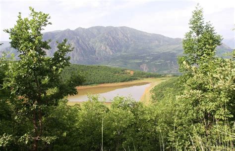 Pine Albania Liqeni I Dushkut
