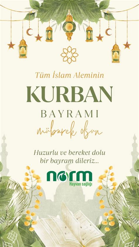 Dilek Barlas Posted On Linkedin