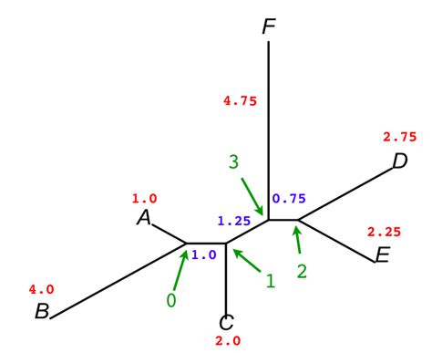 Python For Bioinformatics Phylogenetic Tree Surgery In Python NNI
