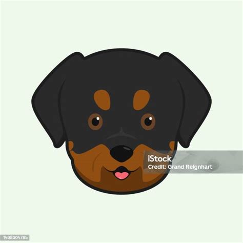 로트 와일러 귀여운 얼굴의 만화 삽화 로트와일러 개의 벡터 일러스트 레이 션 가축에 대한 스톡 벡터 아트 및 기타 이미지 가축 개 귀여운 Istock